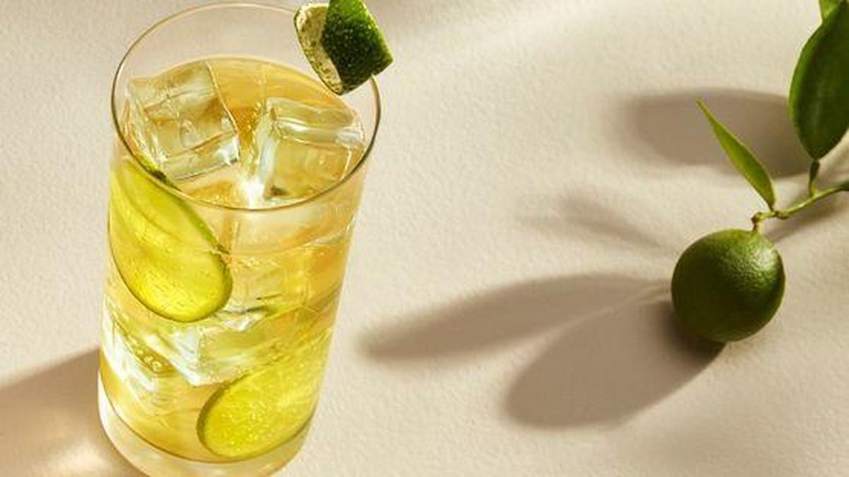Receita de Drink Red Highball citrus - Comida e Receitas